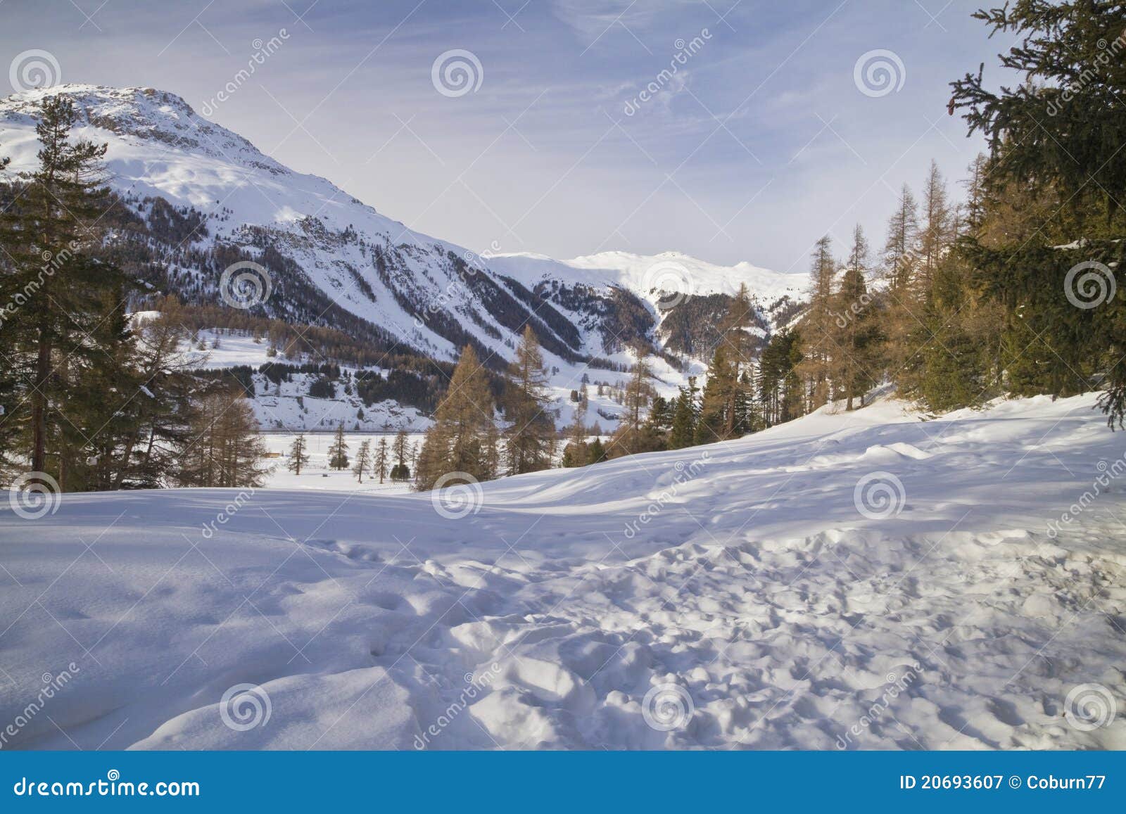 Engadina - Switzerland stock image. Image of alps, snow - 20693607