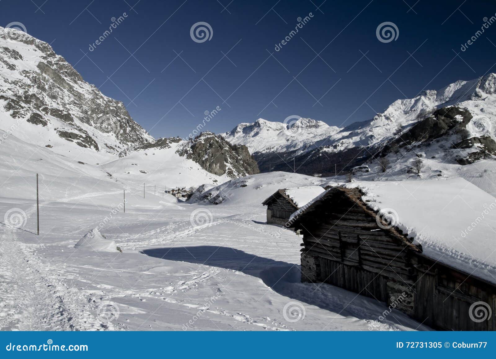 Engadina - Switzerland stock image. Image of autumn, leaf - 72731305