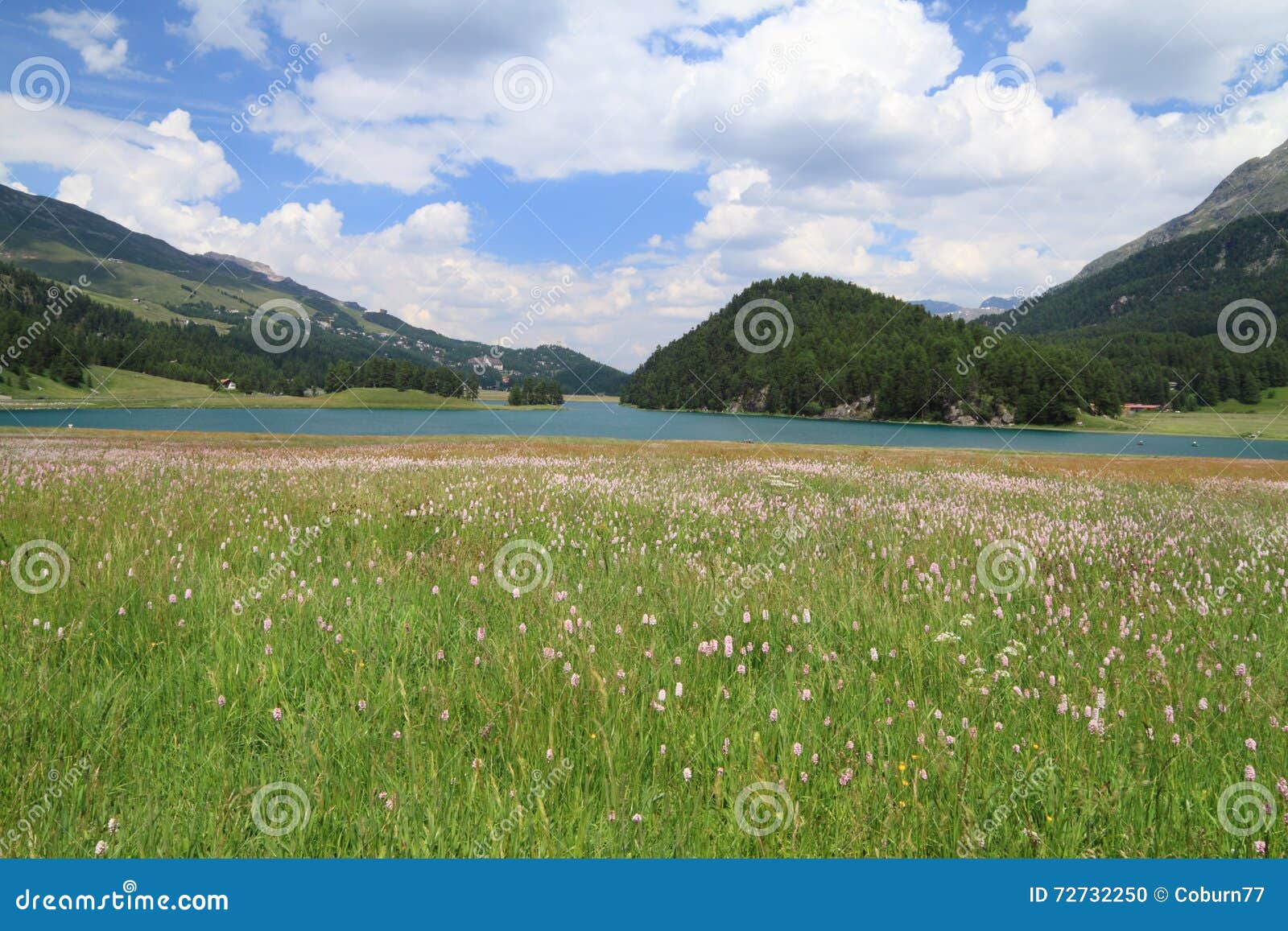 Engadina - Switzerland stock photo. Image of lake, city - 72732250