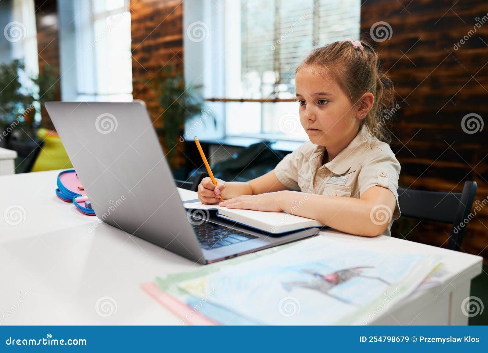 Engaged Absorbed Student Doing Her Homework Using Laptop in after ...