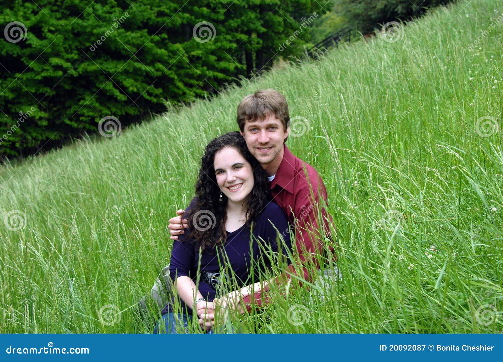 Engaged to be Married stock image. Image of beautiful - 20092087