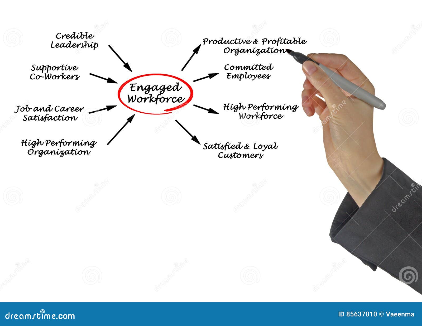 Engaged workforce stock photo. Image of engaged, consulting - 85637010