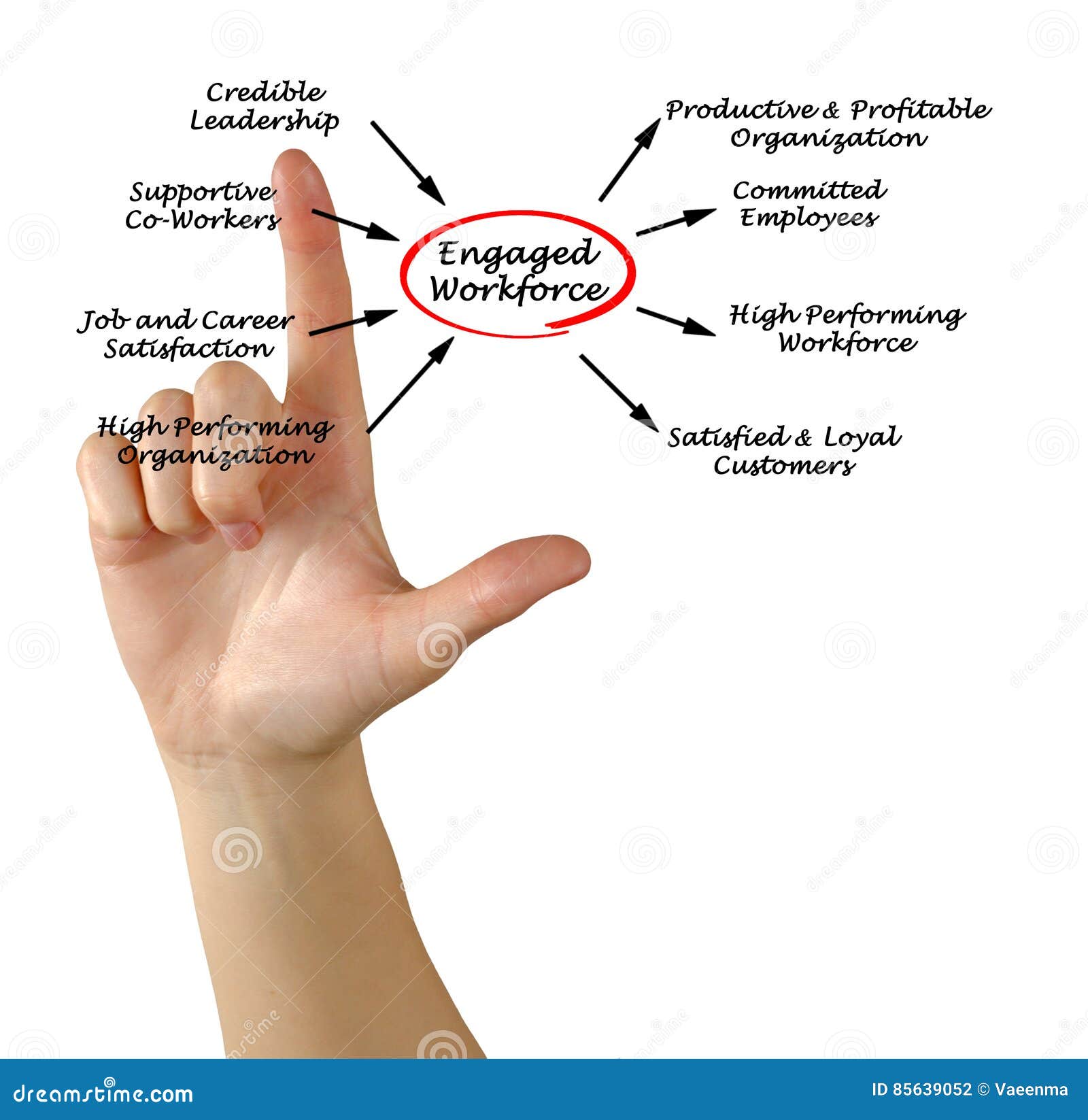 Engaged workforce stock photo. Image of diagram, engaged - 85639052