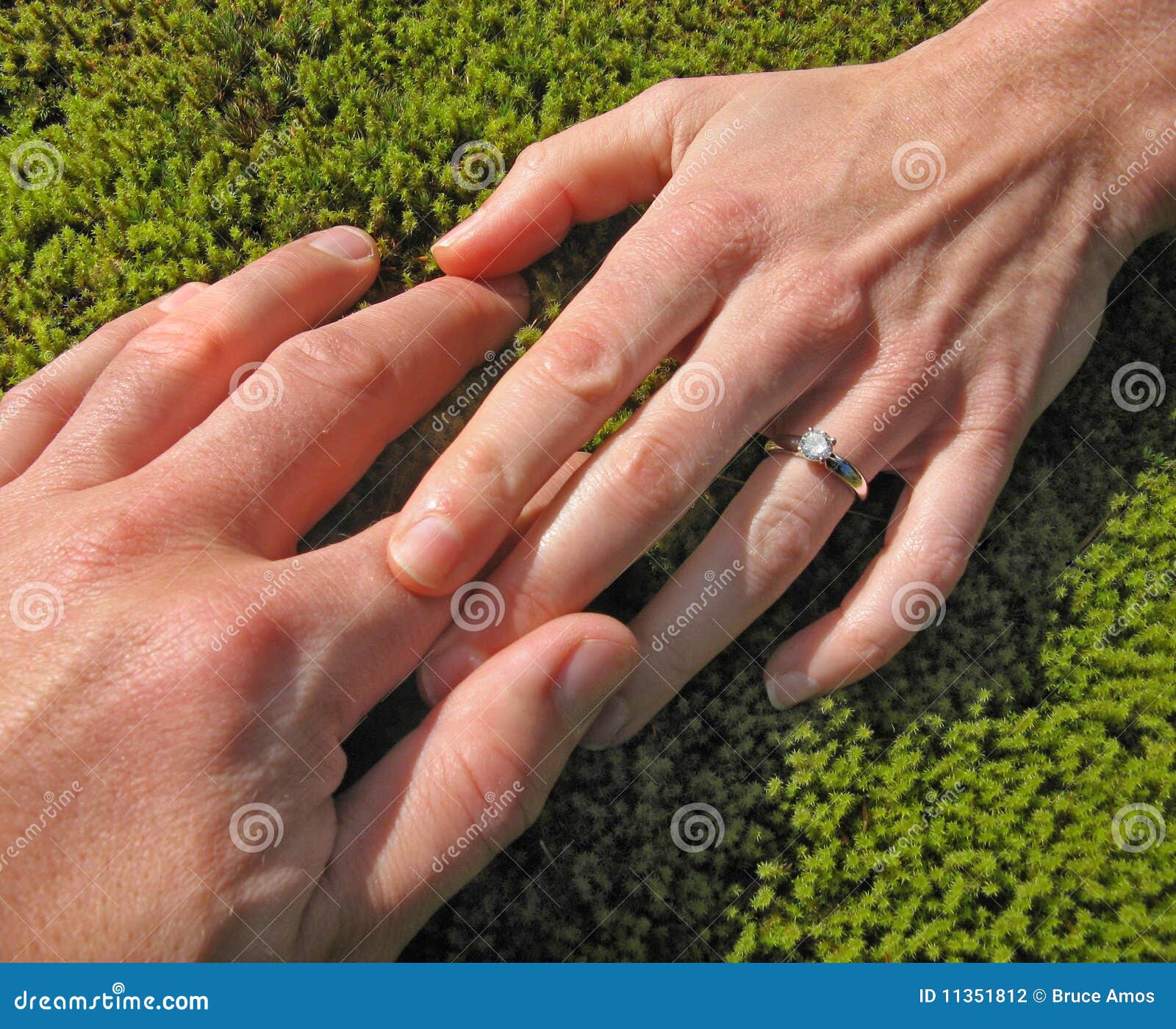 Engagement stock photo. Image of couple, ring, diamond - 11351812