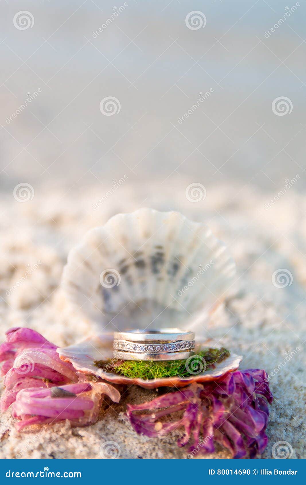 Engagement Ring in Open Seashell on the Ocean Beach. Copy Space. Frame ...