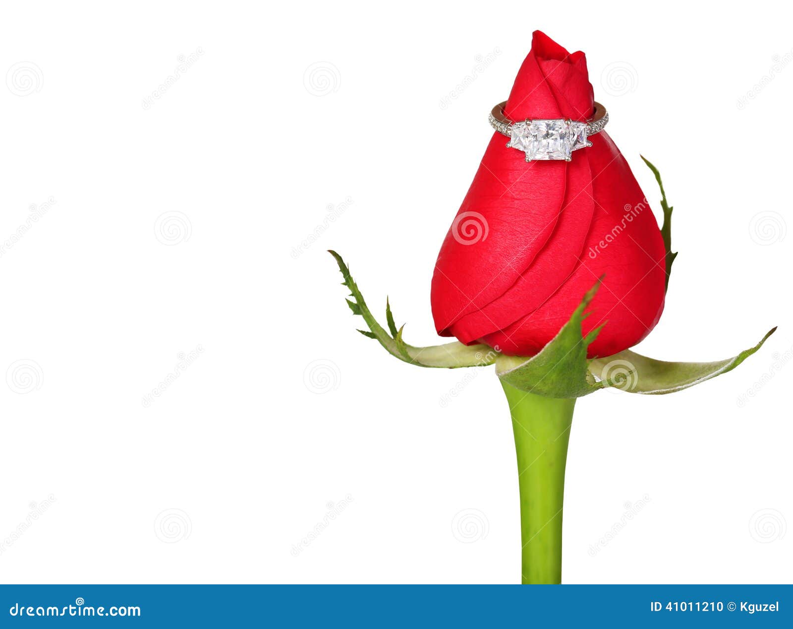 Engagement Ring and Red Rose Isolated Stock Photo - Image of rose ...