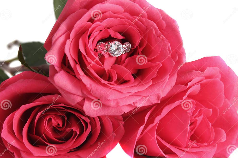 Engagement ring and roses stock image. Image of sparkle - 13977049