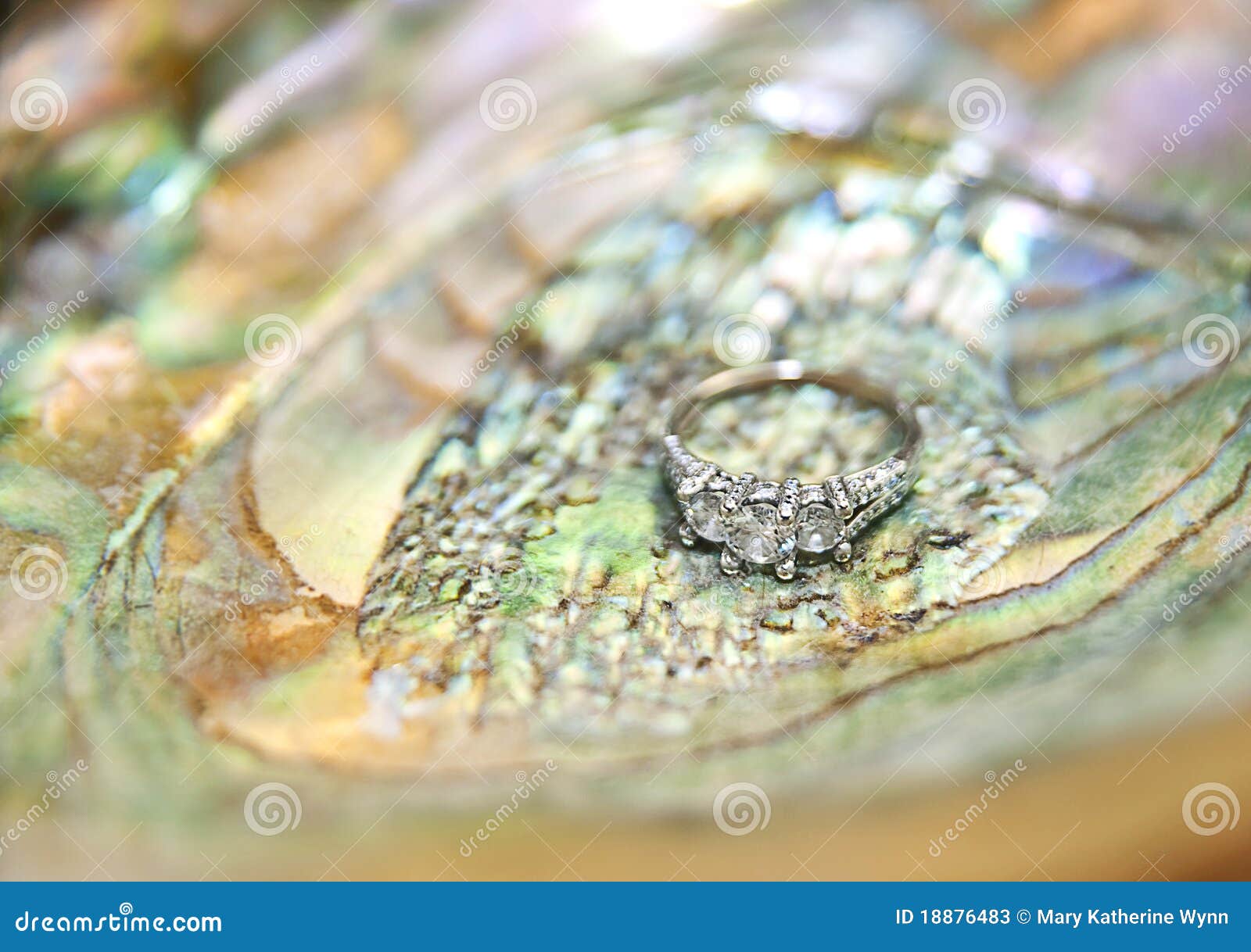 Engagement ring on Shell stock image. Image of abalone - 18876483