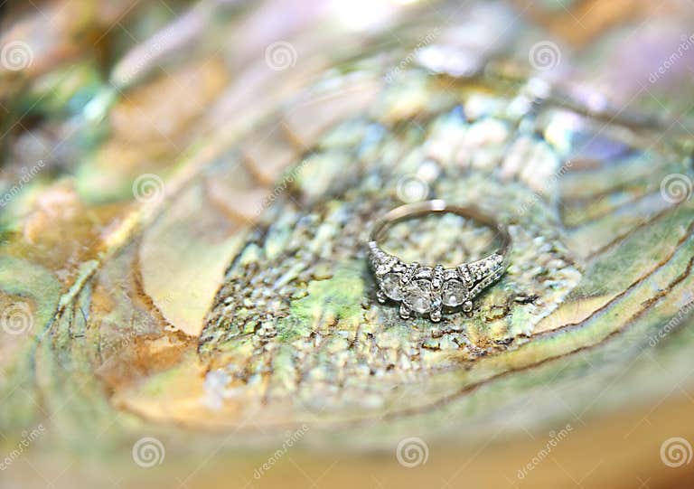 Engagement ring on Shell stock image. Image of abalone - 18876483