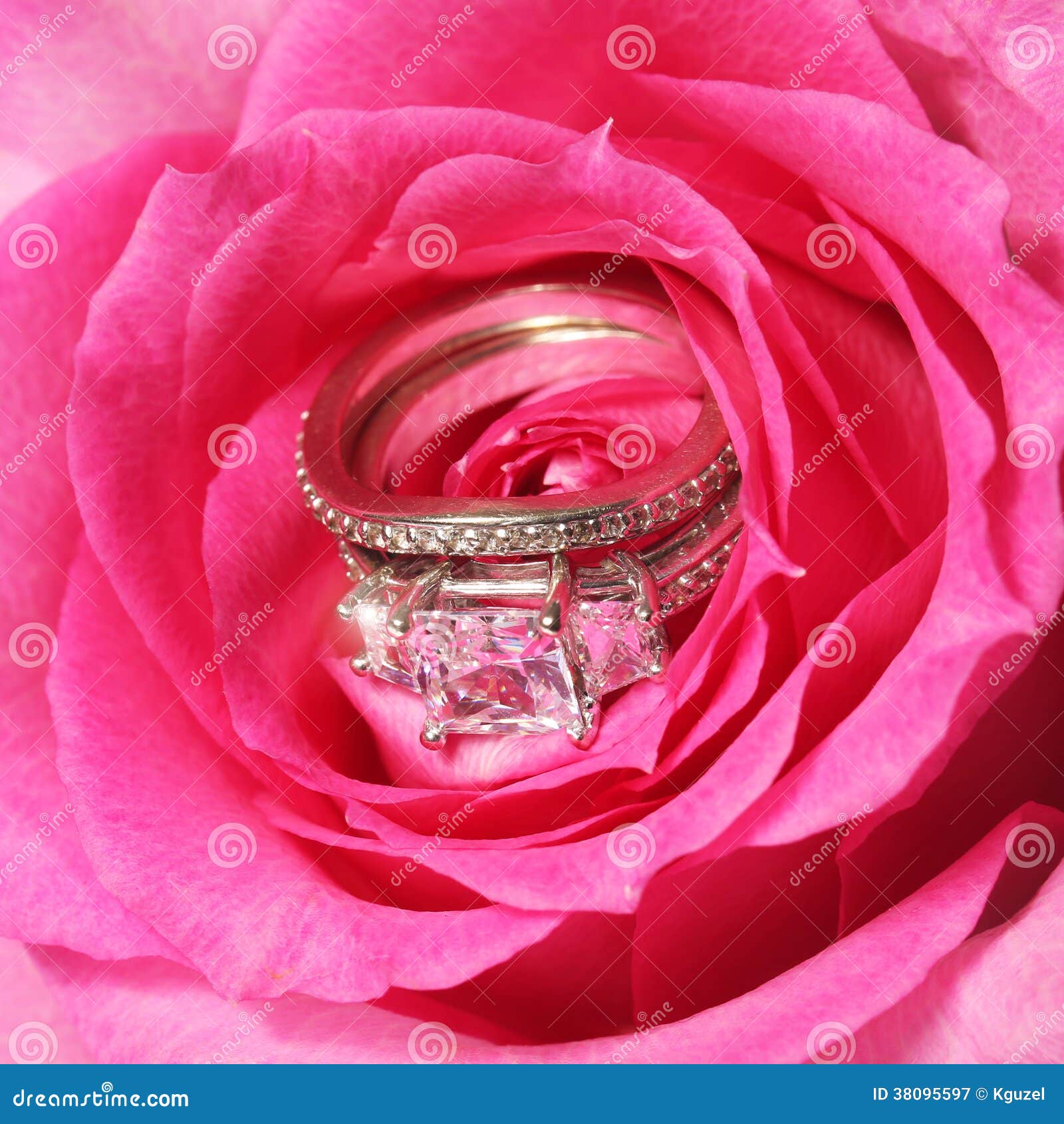 Engagement and Wedding Rings in Pink Rose Stock Image - Image of gold ...