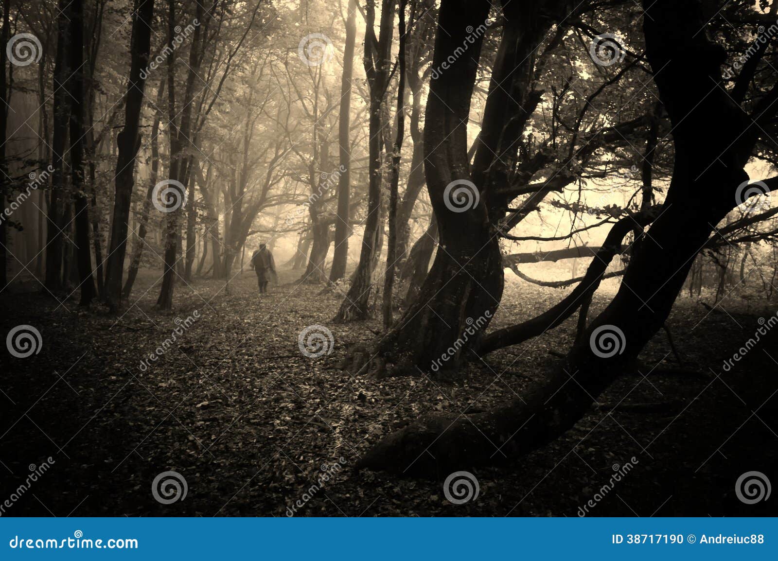 Enge Mens Die in Een Donker Bos Met Mist Lopen Stock Foto - Image of ...