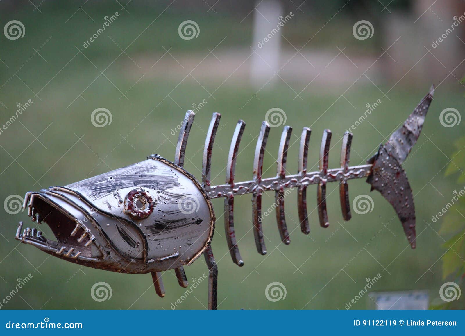 Enge Metaal dode vissen stock afbeelding. Image of doods - 91122119