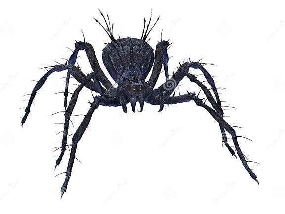 Enge spin stock illustratie. Illustration of zwart, insect - 68373760