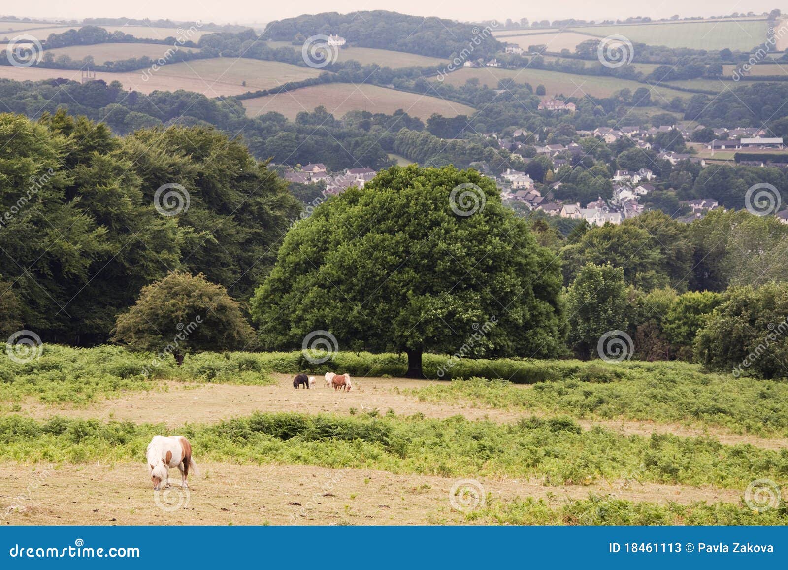 Engels platteland stock afbeelding. Image of gebieden - 18461113
