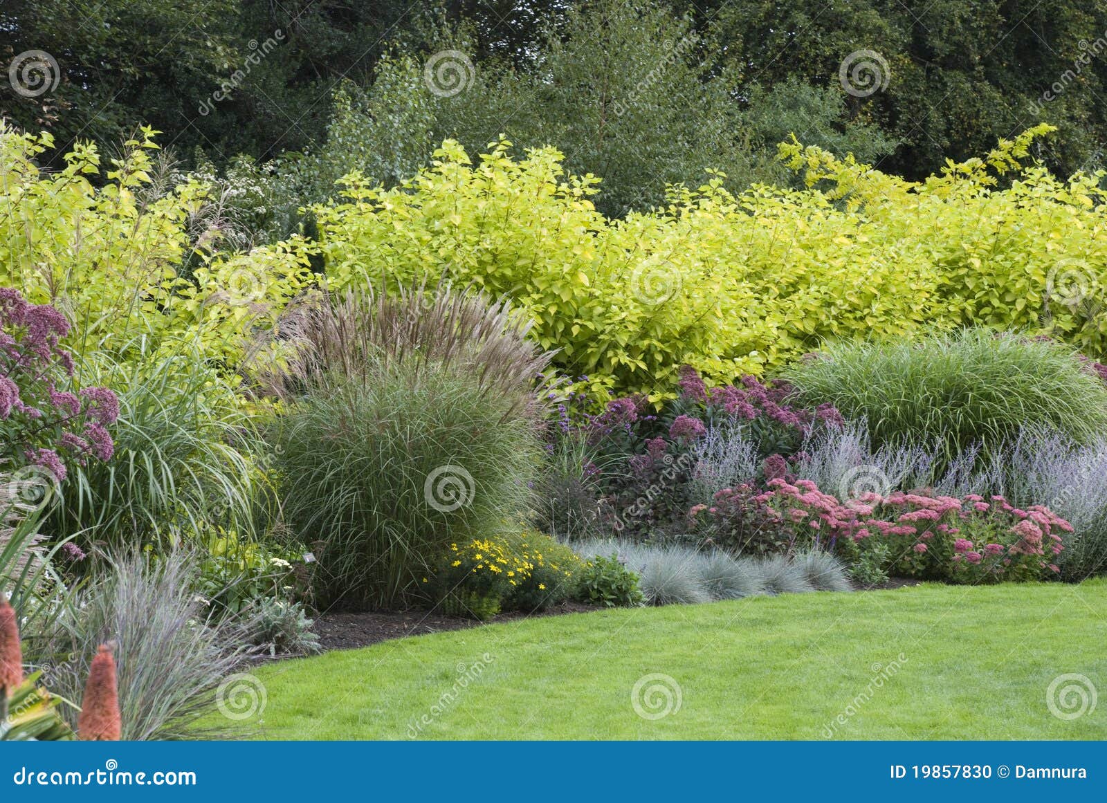 Engelse bloeiende tuin stock foto. Image of bladeren - 19857830