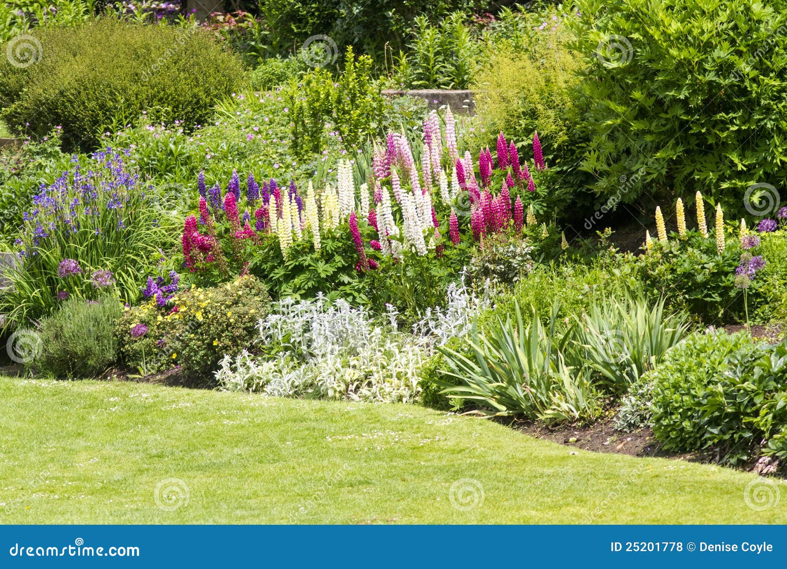 Engelse land formele tuin stock foto. Image of pensionairs - 25201778