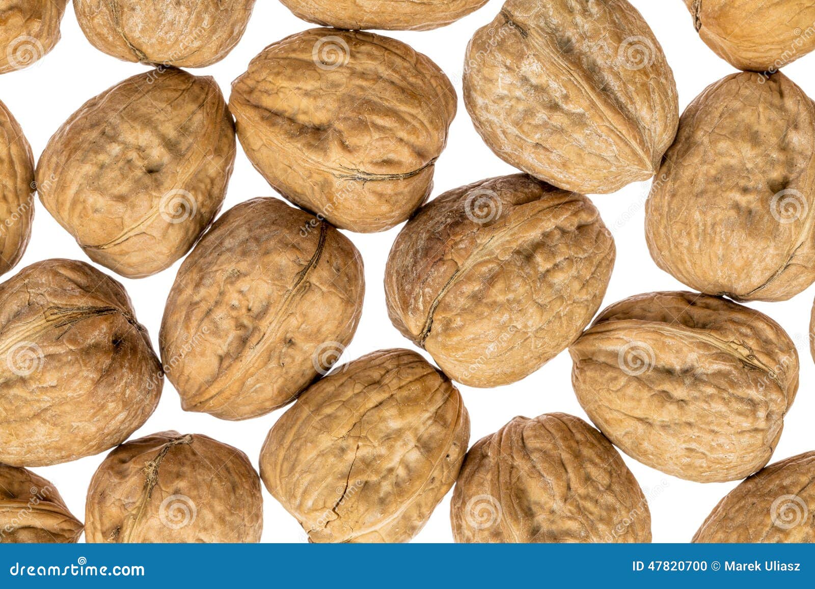 Engelse Okkernoten Op Witte Achtergrond Stock Foto - Image of ...