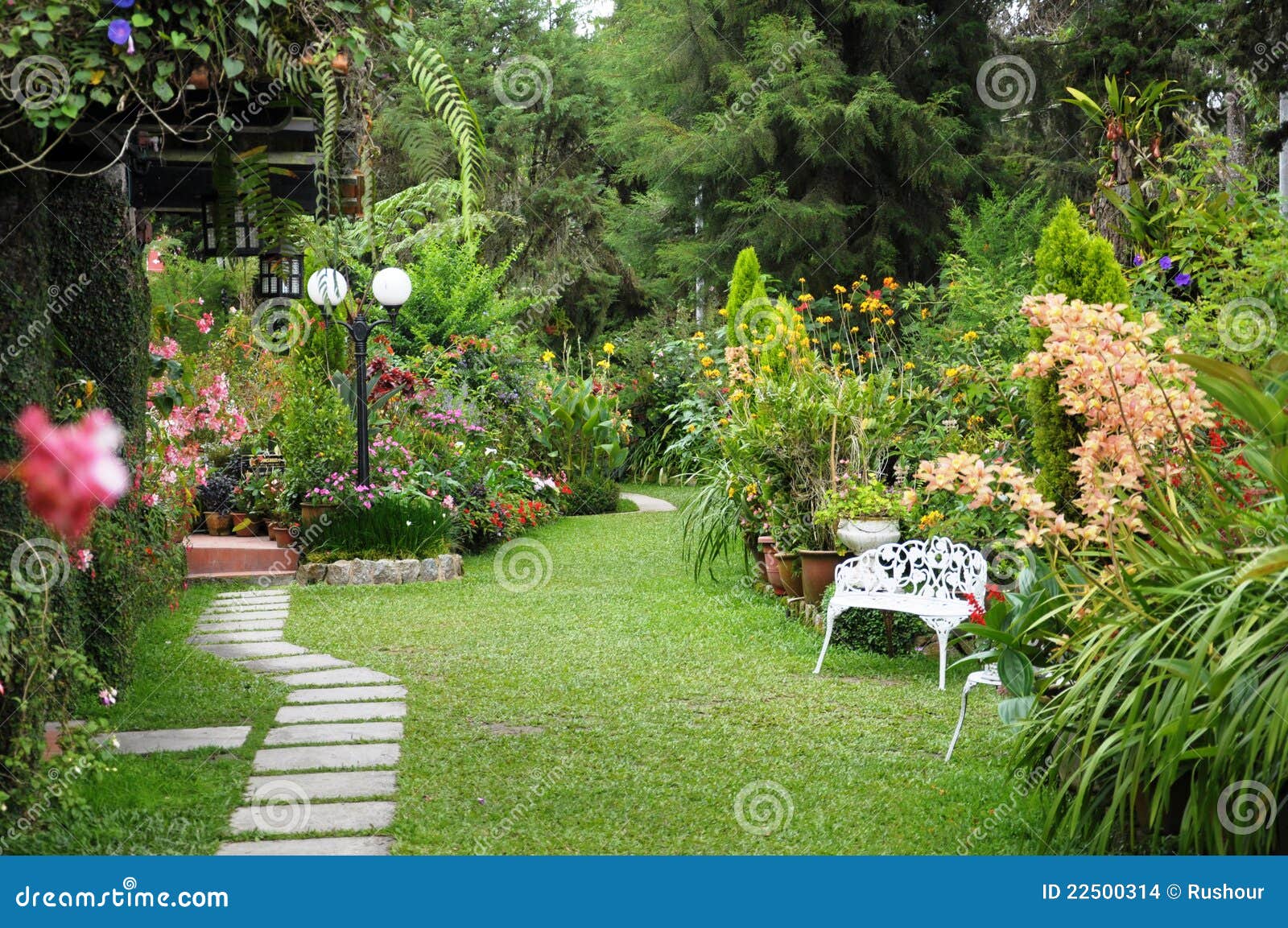 Engelse Tuin stock foto. Image of orchidee, goed, genezing - 22500314