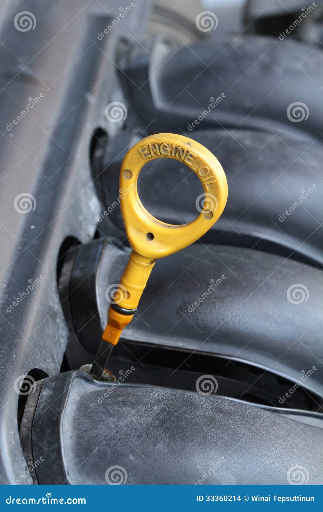 Engine oil dip stick stock photo. Image of automobile - 33360214