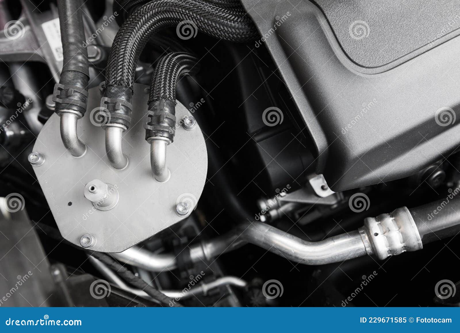Engine Oil Filter Cross Section Display Inside Machine Motor in Car ...