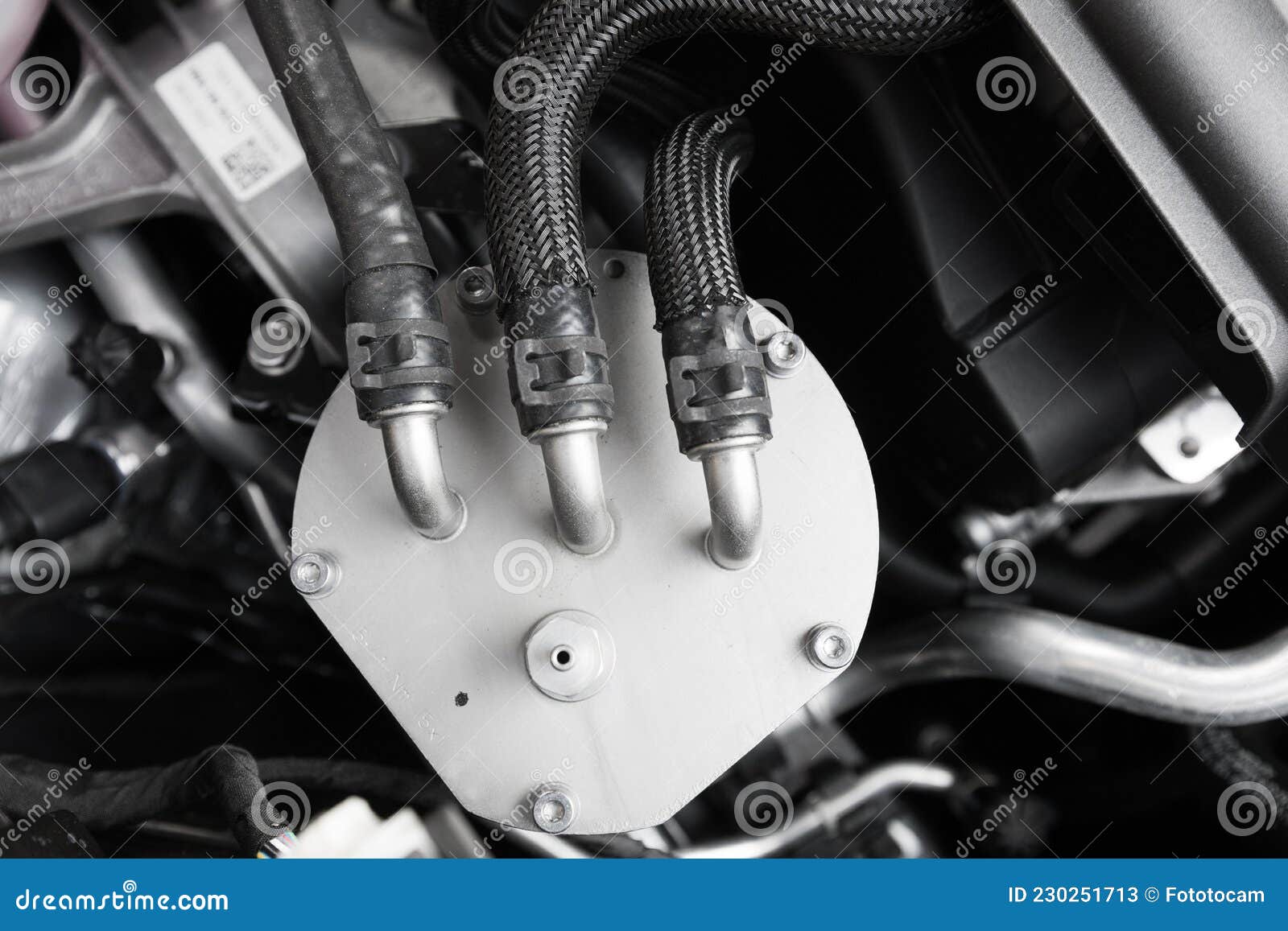 Engine Oil Filter Cross Section Display Inside Machine Motor in Car ...