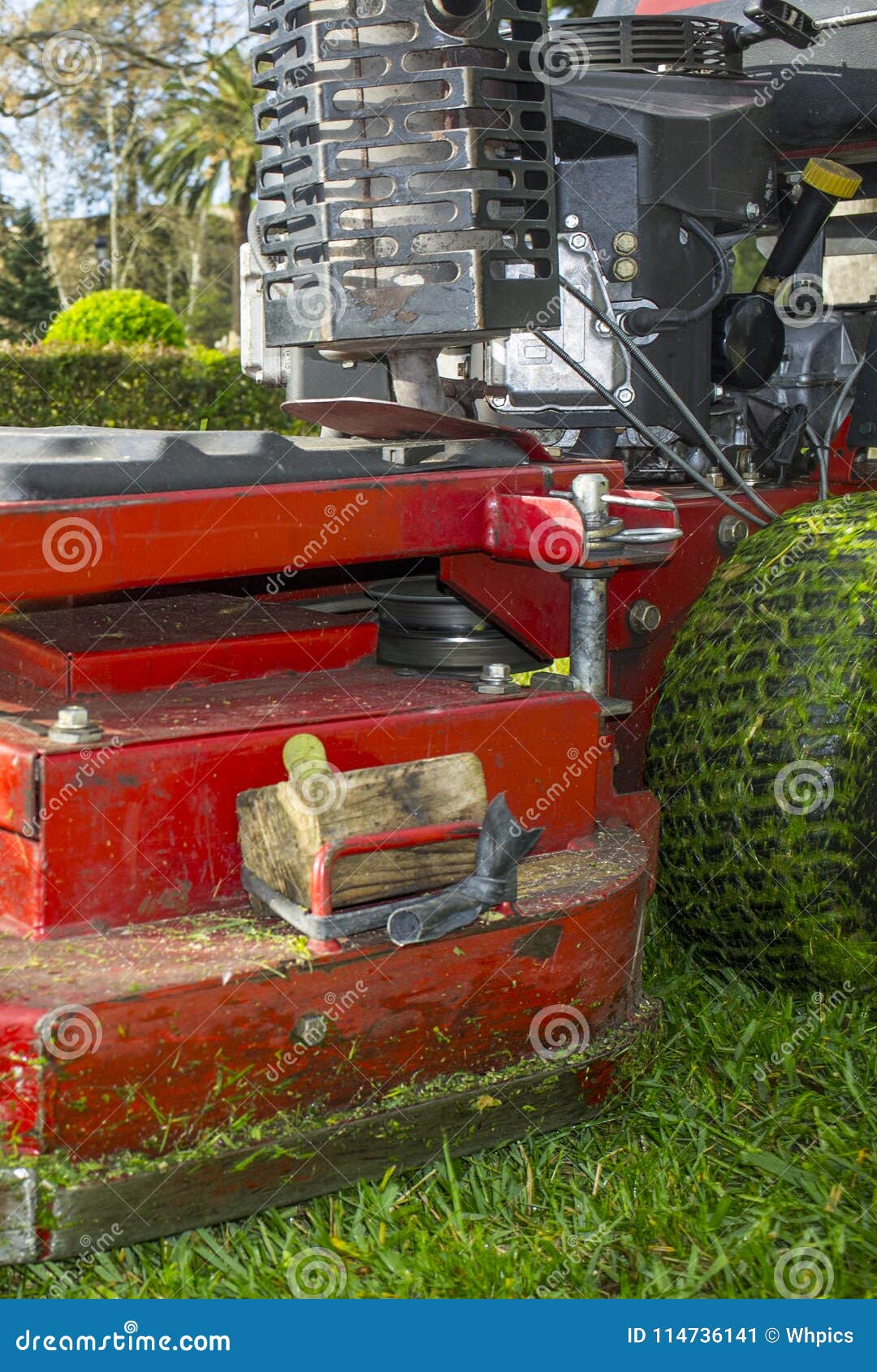 Engine Powered Mower at Work Closeup Stock Image - Image of action ...