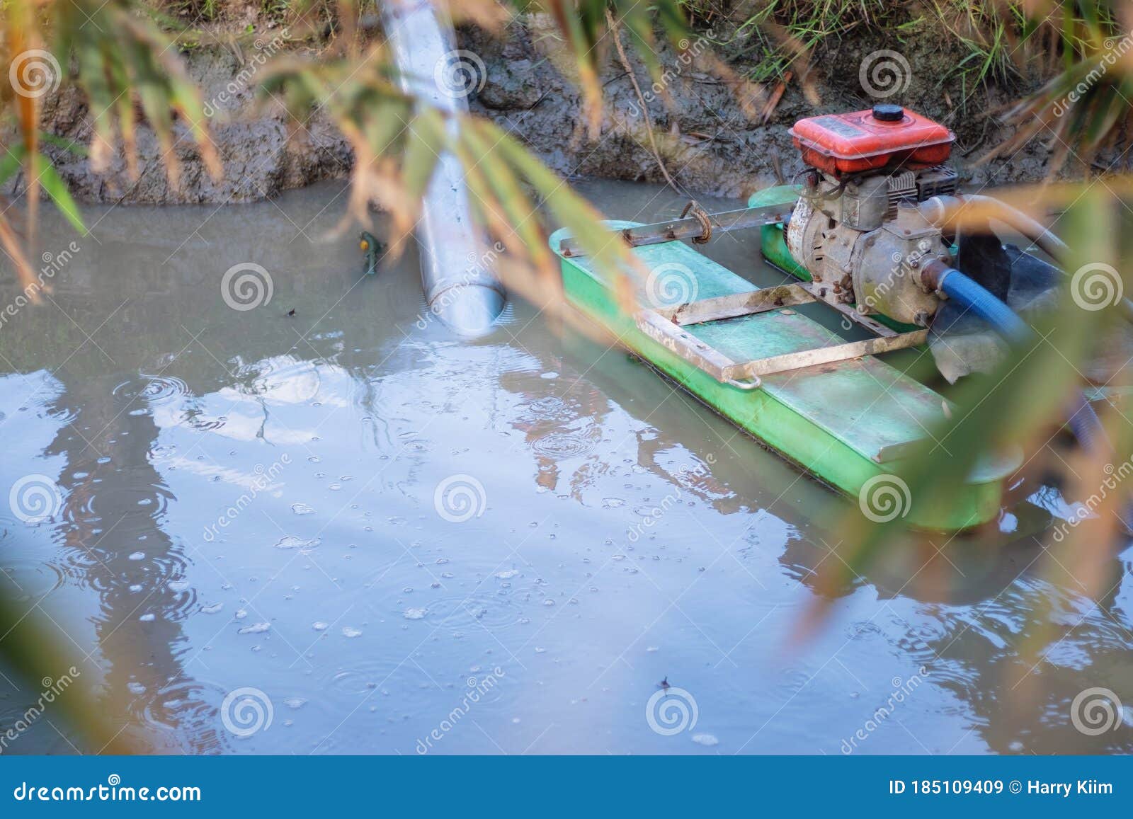 Engine Pumping Water from River into the Rice Fields, Agriculture ...