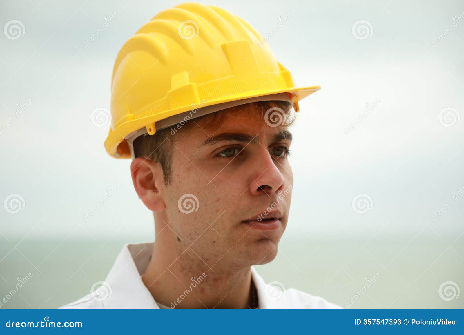 Engineer Angry about Bad Work Done by Workers Nervously Scolding Them ...