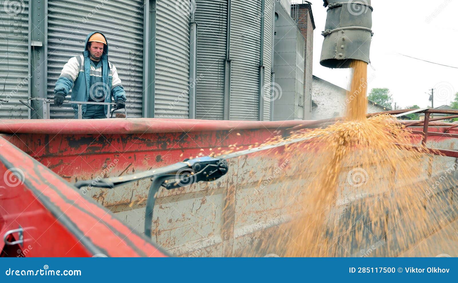 An Engineer Controls the Process of Loading Grain into a Truck ...
