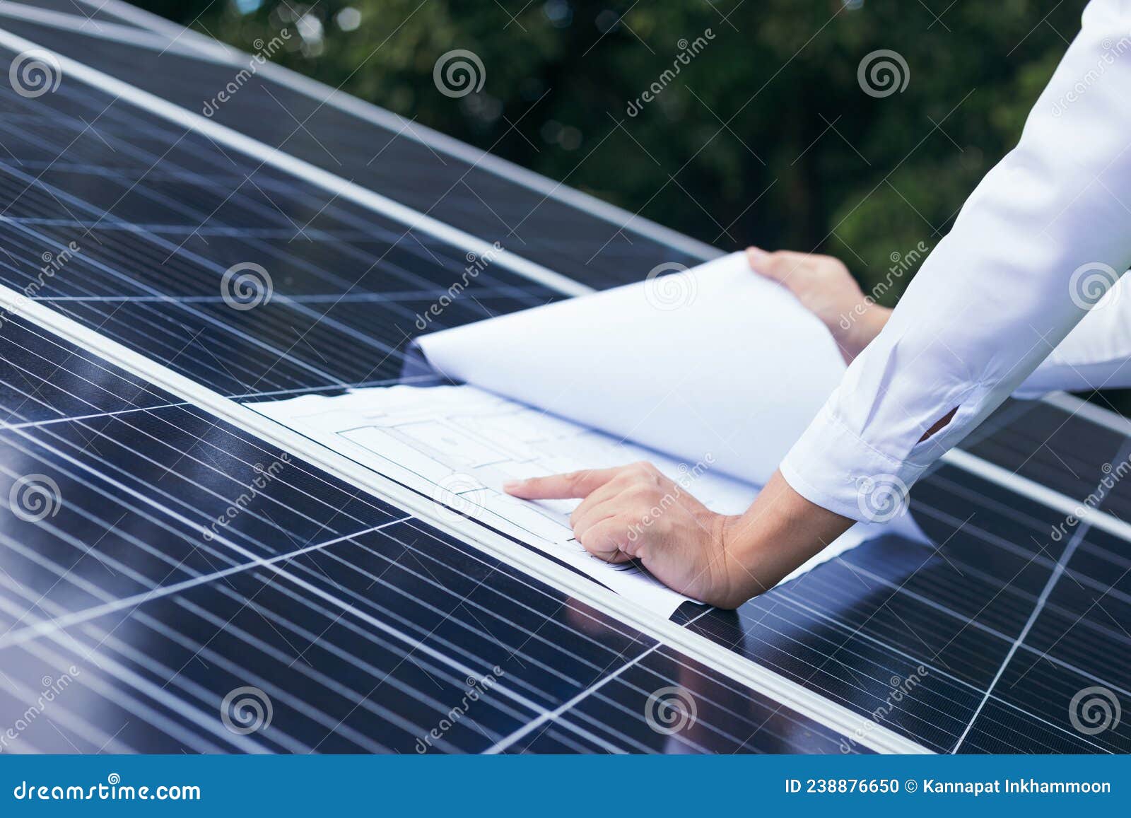 Engineer Open Blueprint of Solar Farm Project on Solar Cells Panel ...