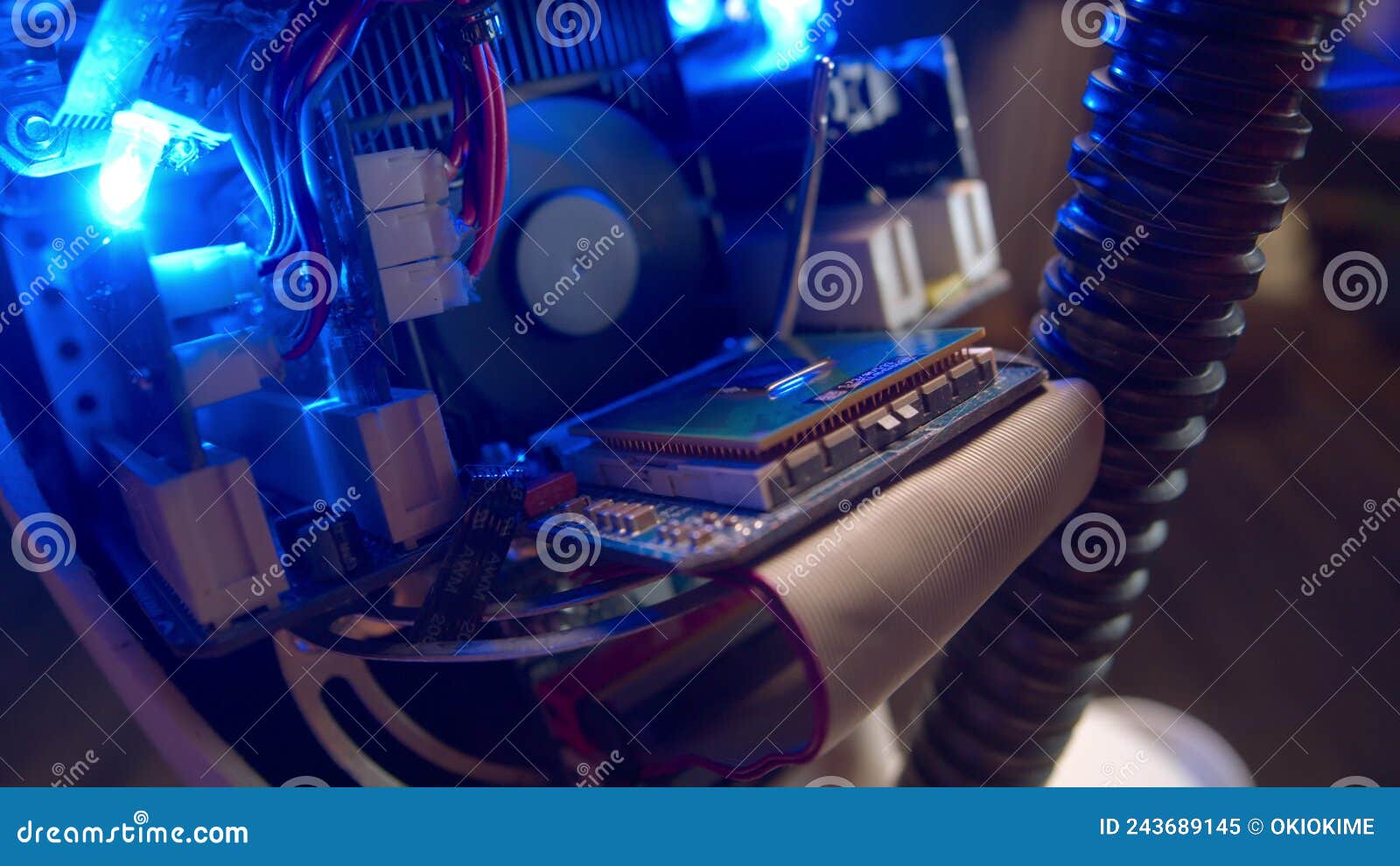 Engineer Puts Microchip into Robotic Mechanism in Laboratory Stock ...