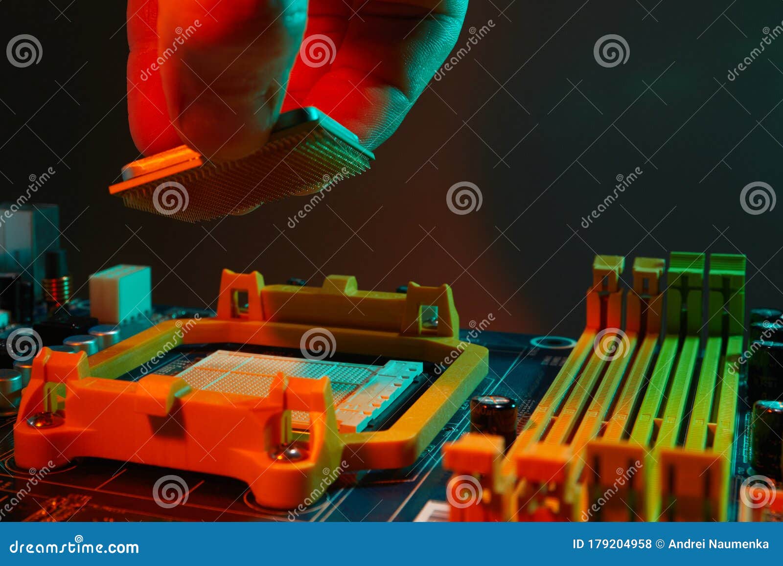 Engineer Repairman Holding Chip CPU To Insert into the Socket of ...