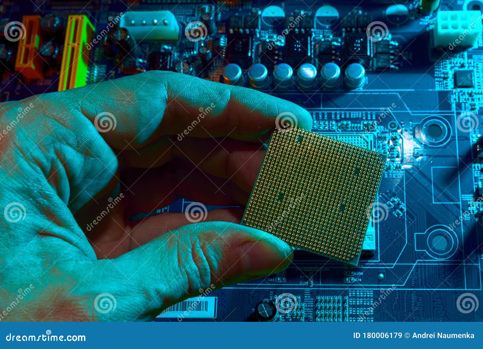 Engineer Repairman Holding Chip CPU To Insert into the Socket of ...