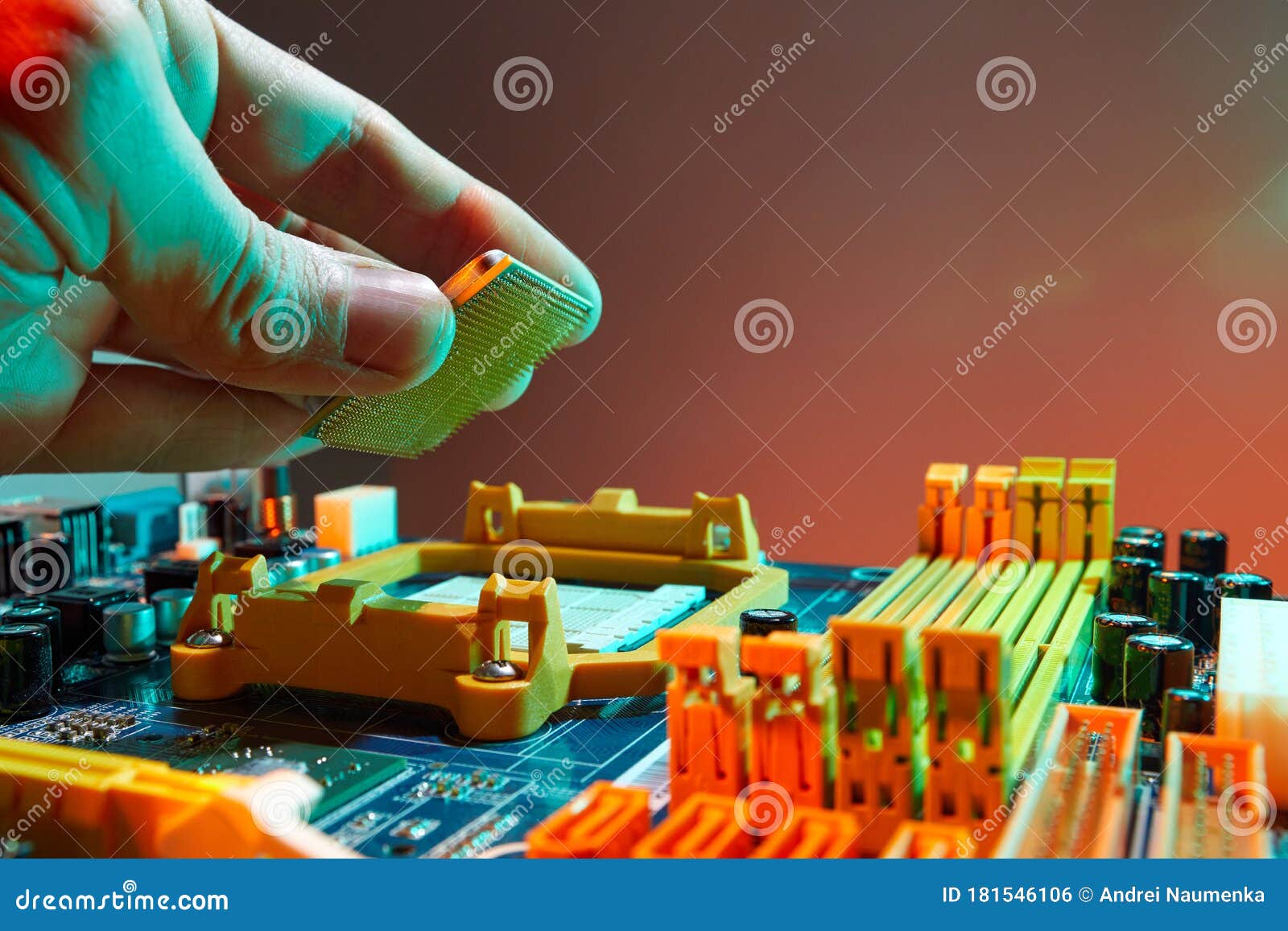 Engineer Repairman Holding Chip CPU To Insert into the Socket of ...
