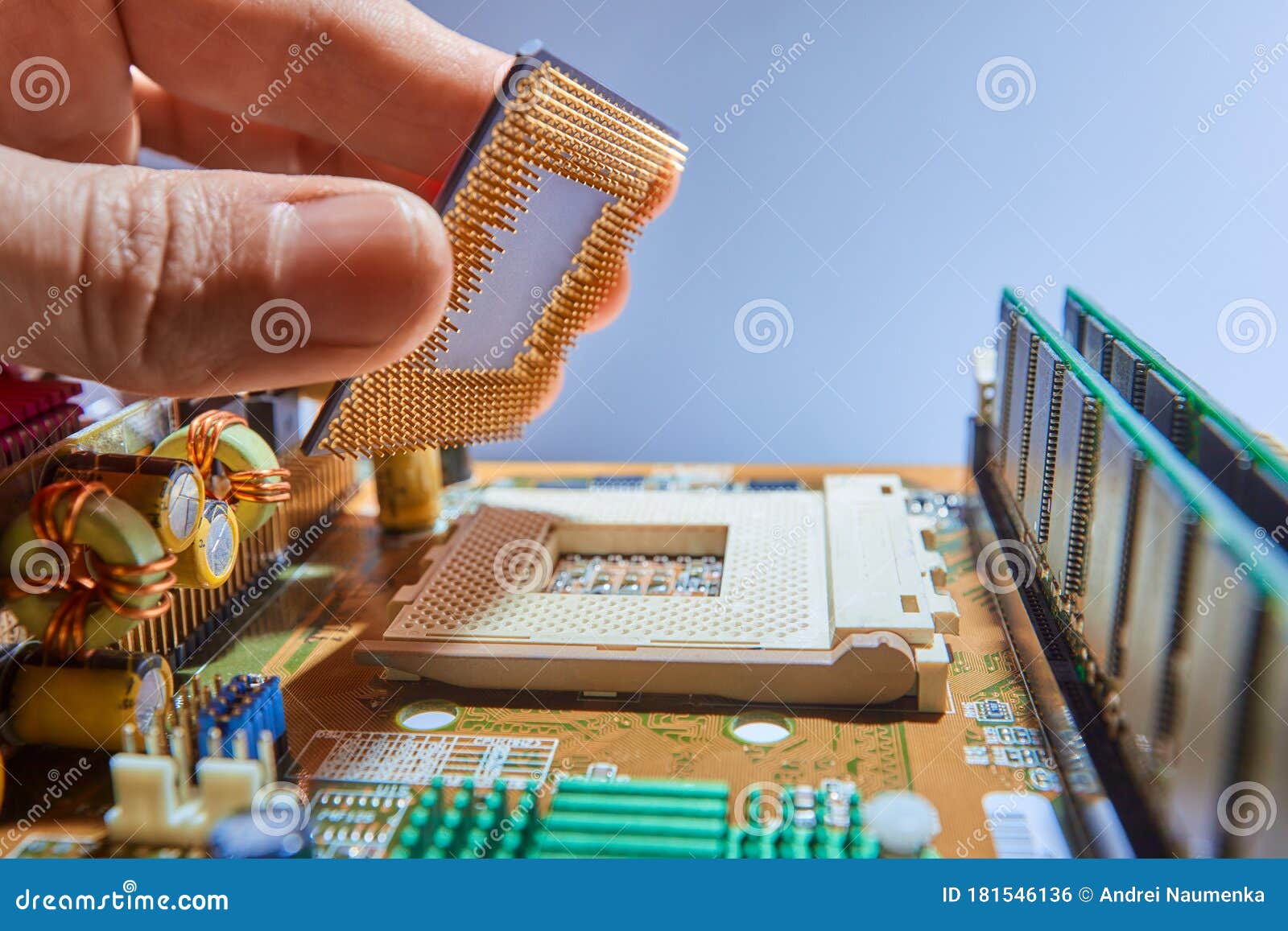 Engineer Repairman Holding Chip CPU To Insert into the Socket of ...