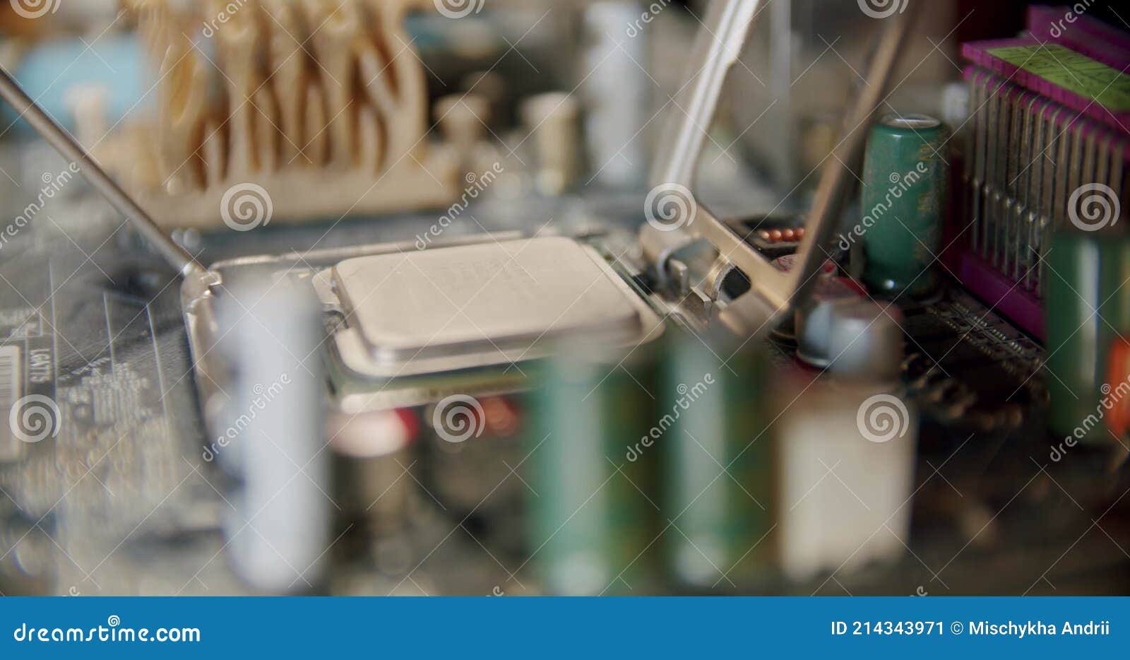 Engineer Repairman Holding Chip Processor CPU in Hands To Insert into ...