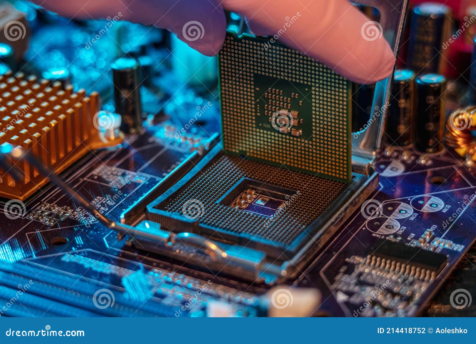 Engineer`s Gloved Hand is Holding the CPU Chip on the Background of the ...