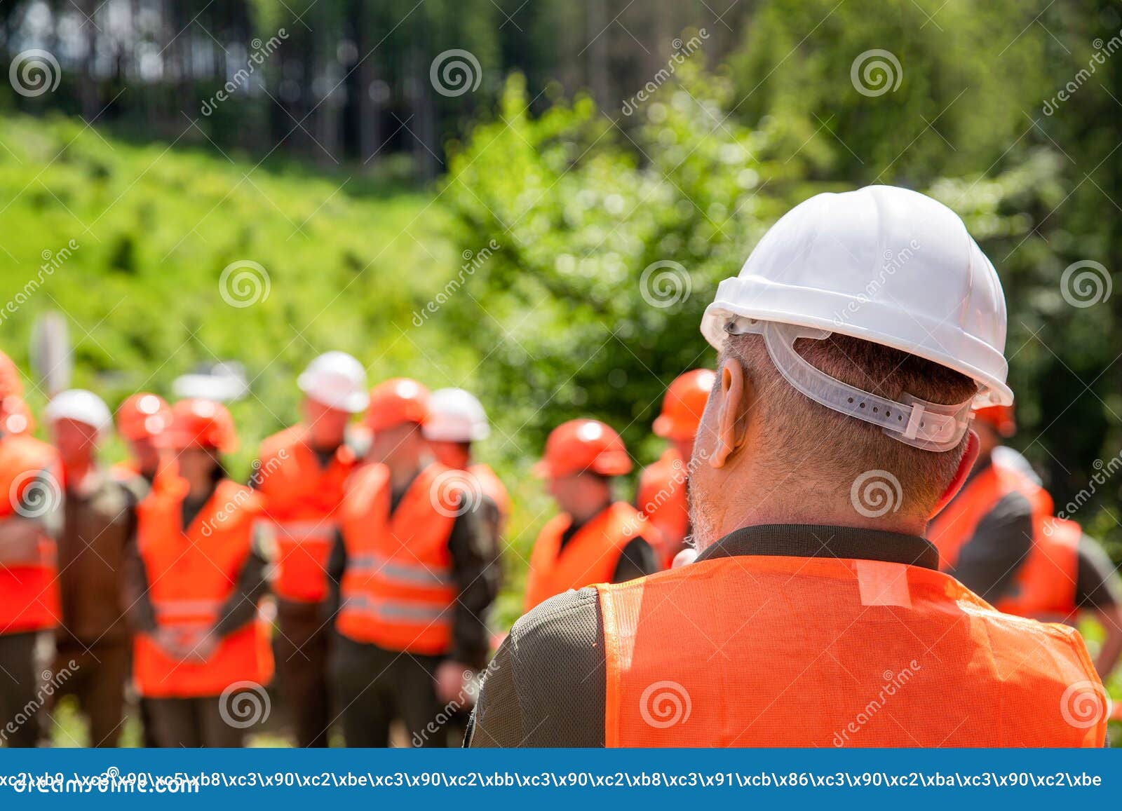 Engineer Team in Hardhat for Work. Worker Group Wearing Vest, Safety ...