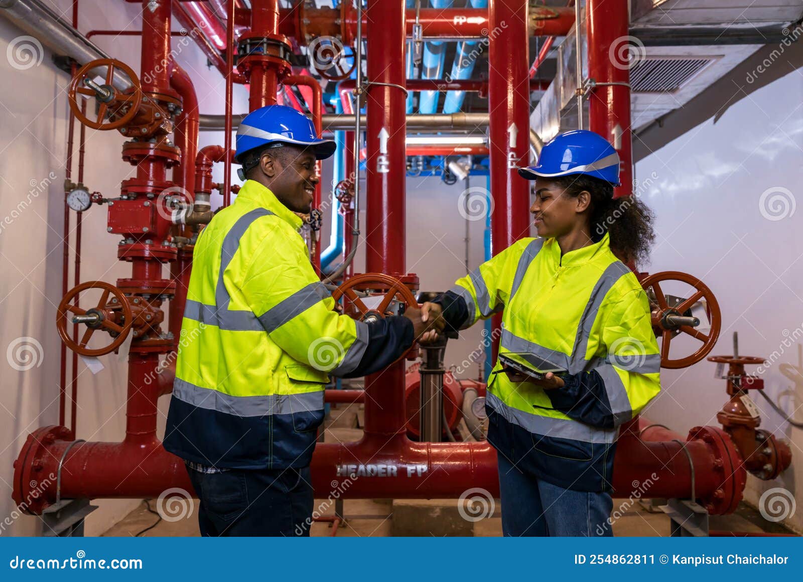 Engineer or Technician Work Checking Fire Suppression System and Fire ...