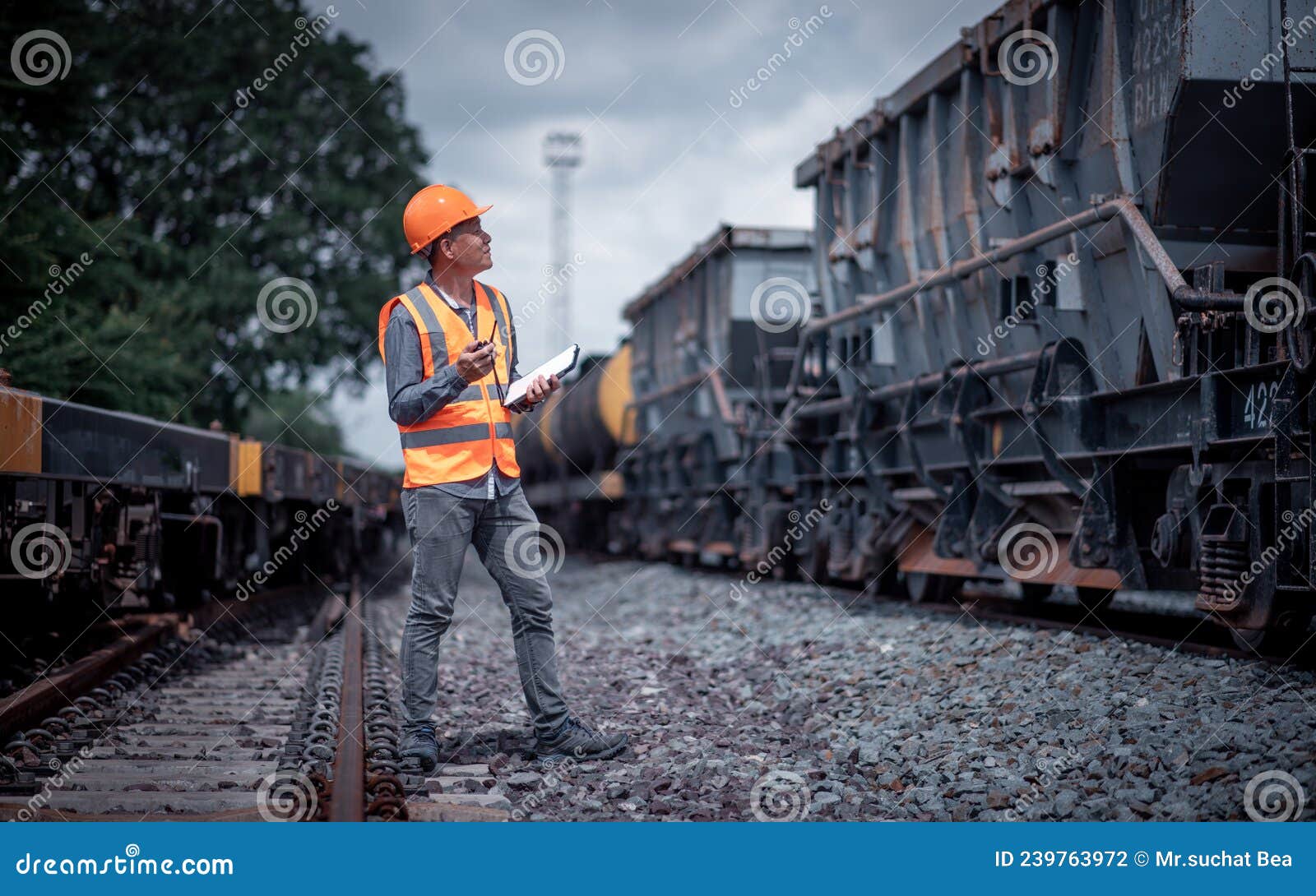 Engineer Under Discussion Inspection and Checking Construction Process ...