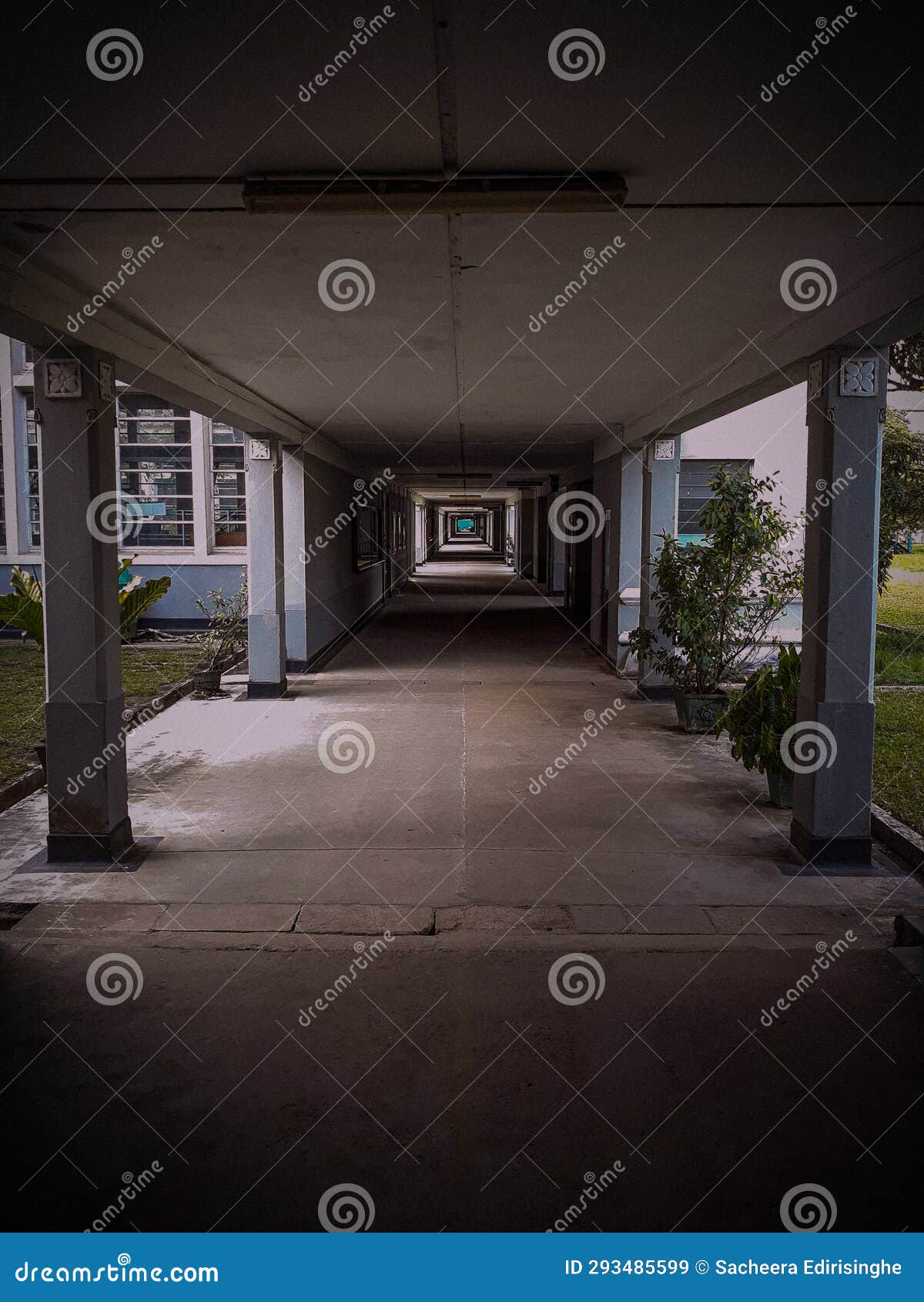 Engineering Faculty Corridor University of Peradeniya Stock Image ...