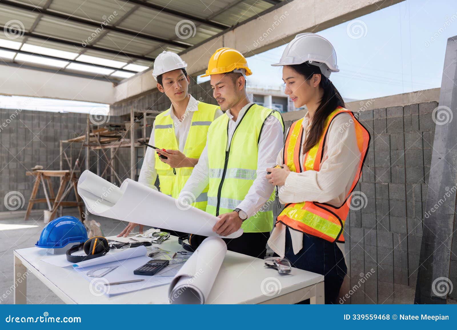 Project Execution Plan Stock Photography | CartoonDealer.com #91856096