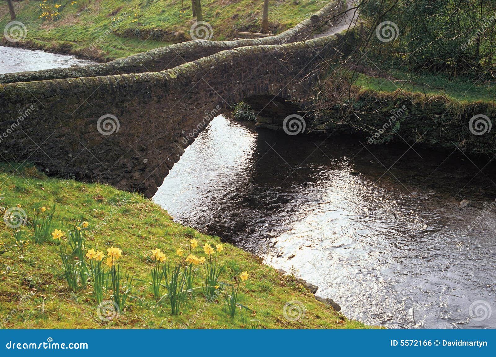 England yorkshire dales stock photo. Image of england - 5572166