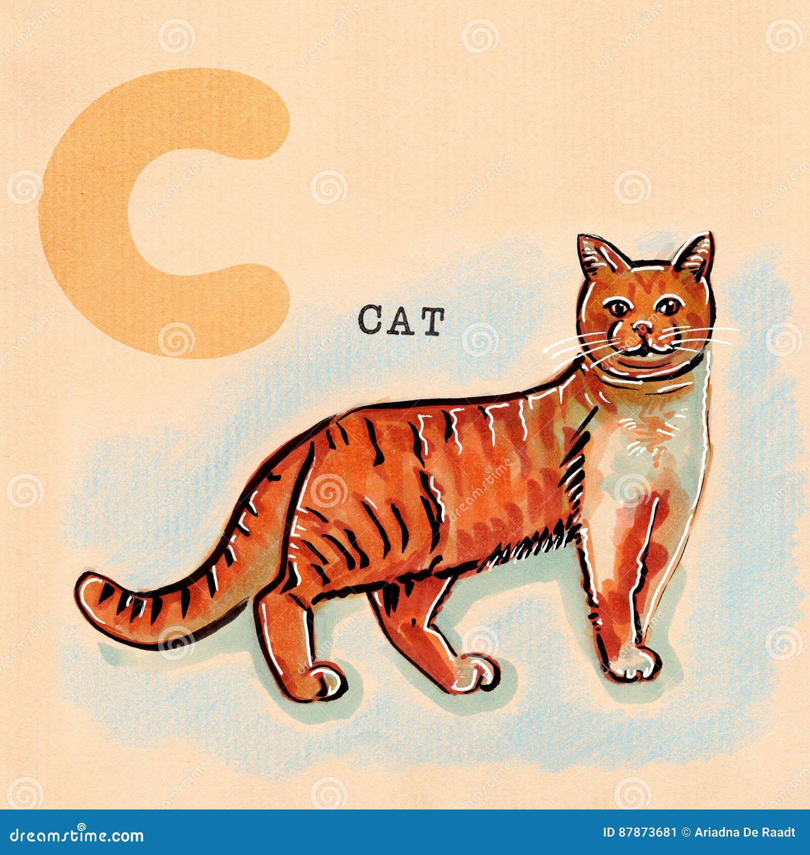 English alphabet , Cat stock illustration. Illustration of educational ...