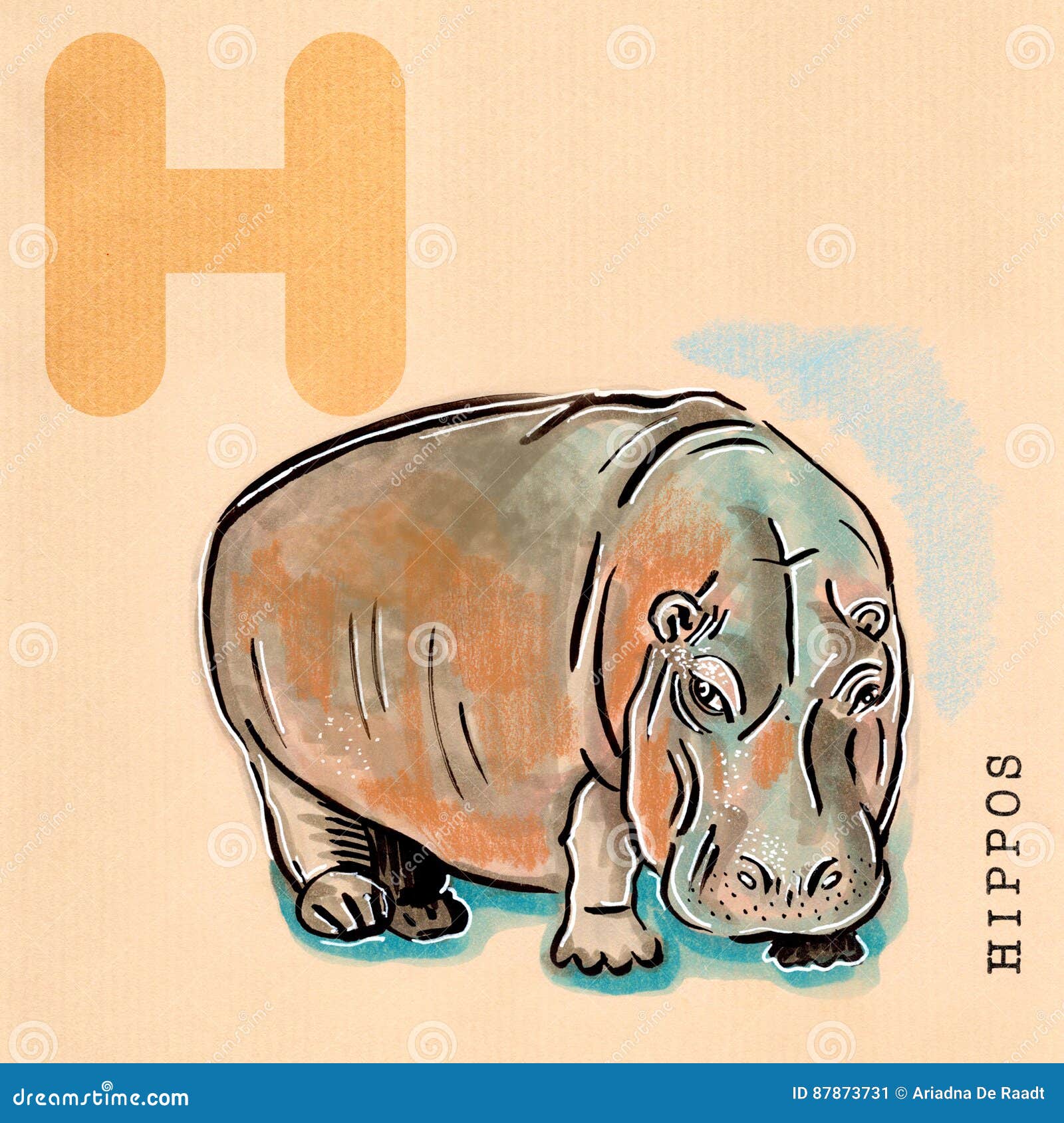 English alphabet , Hippos stock illustration. Illustration of funny ...