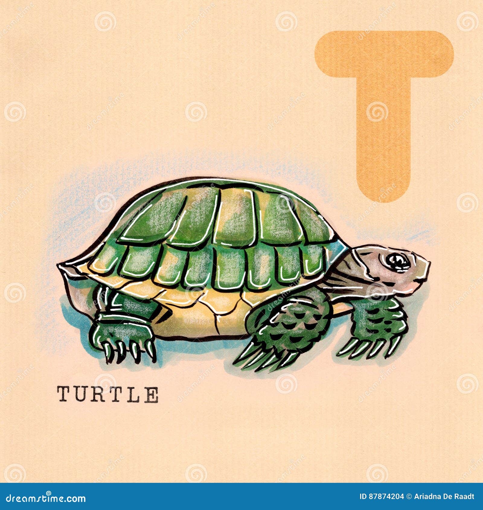 English alphabet , Turtle stock illustration. Illustration of read ...