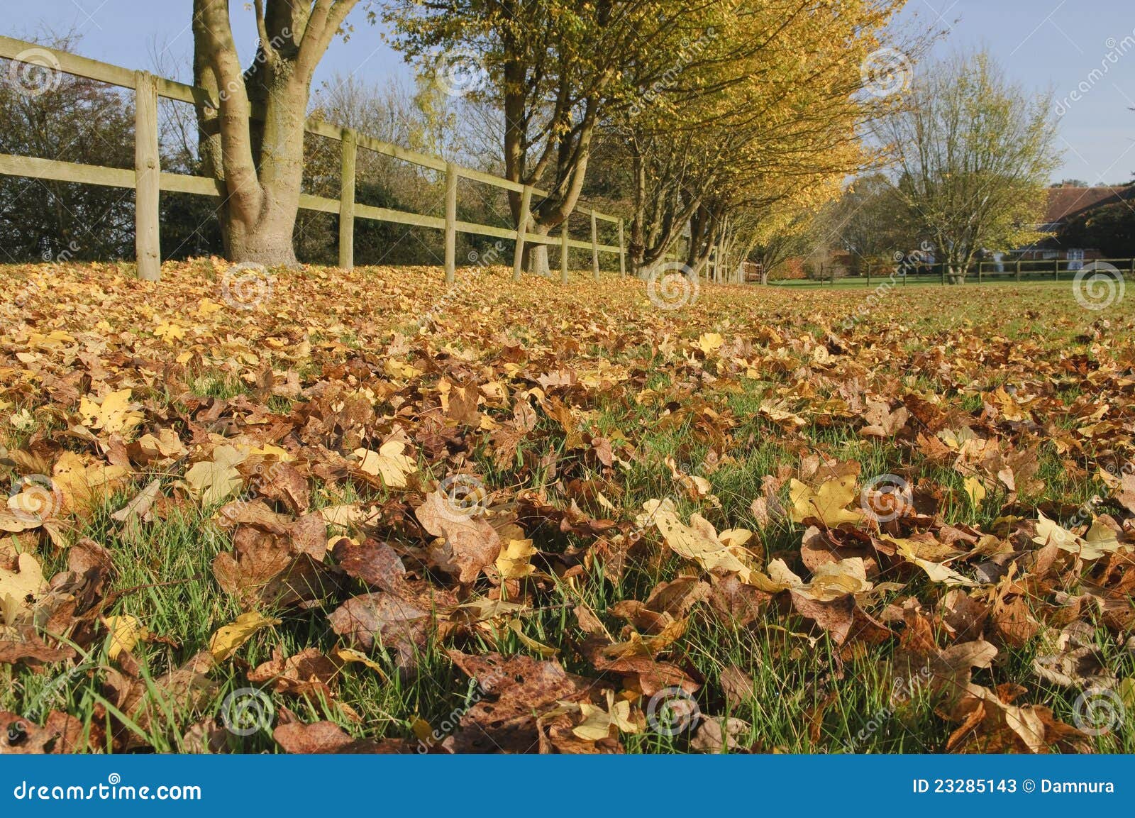 English Autumn stock image. Image of sunny, wooden, countryside - 23285143