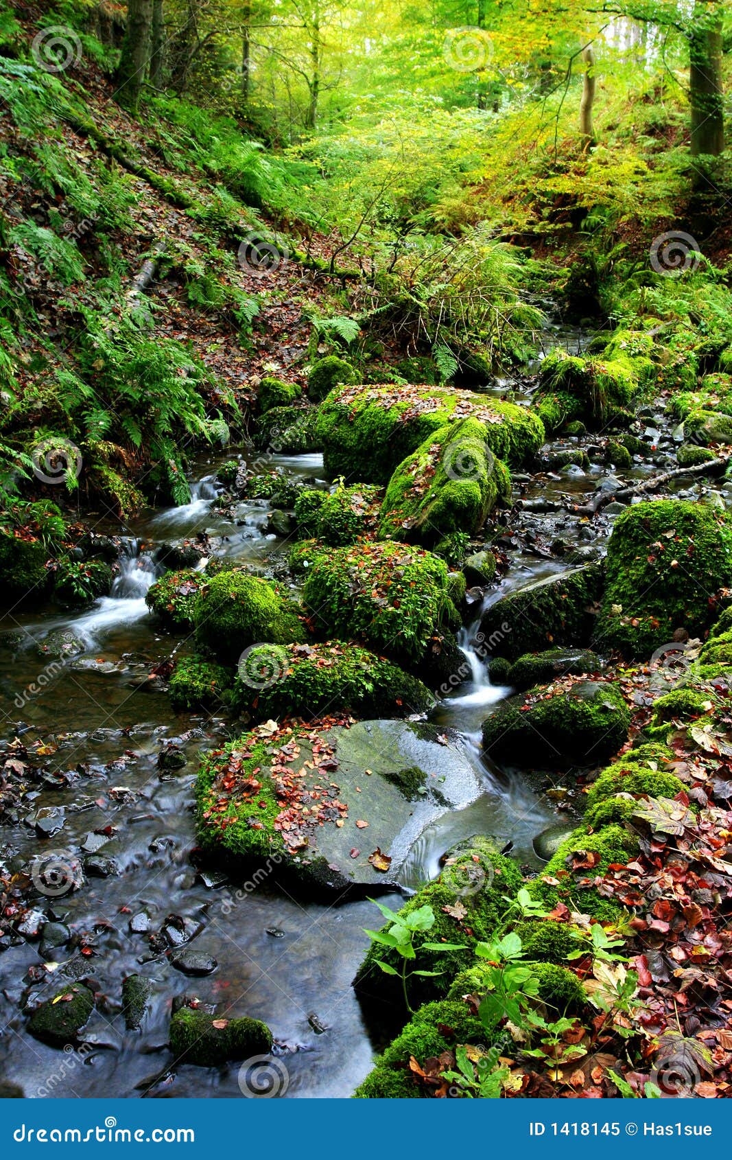 English Babbling Brook stock image. Image of fresh, field - 1418145