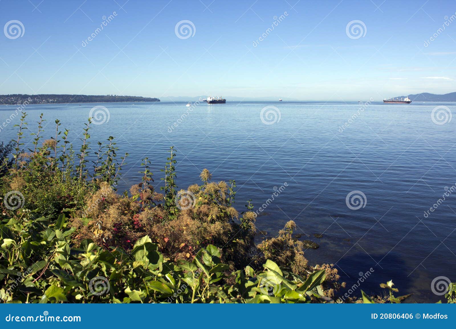 English Bay stock photo. Image of english, columbia, ocean - 20806406
