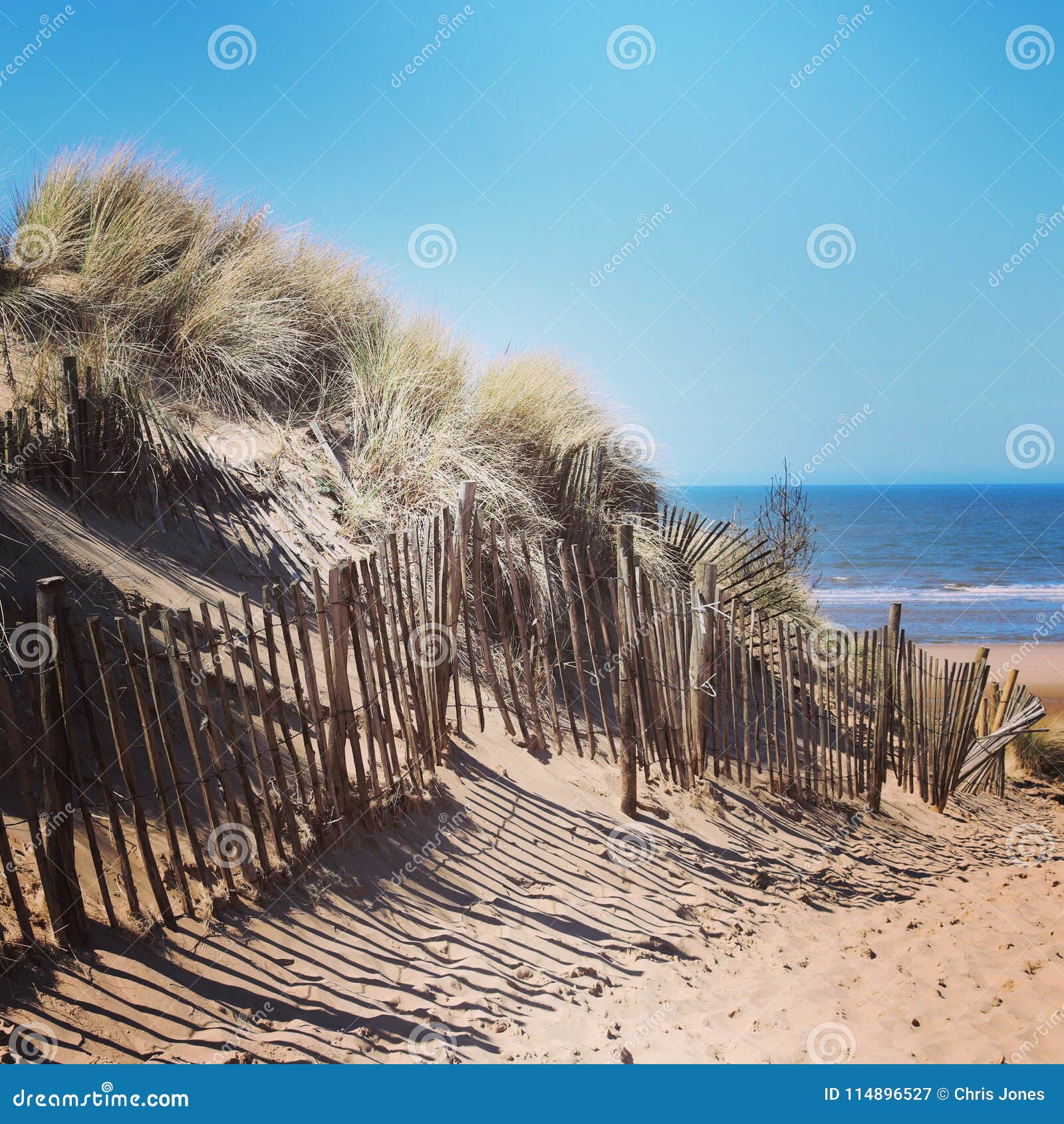 English beach scene stock image. Image of england, wood - 114896527